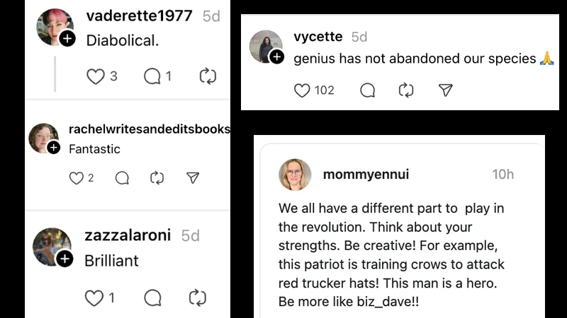 Video: Deranged Leftist Trains Crows to Attack MAGA Hats