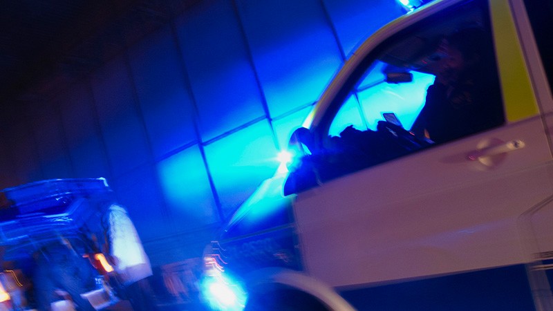 Swedish Criminal Gangs Expanding Operations to Iceland, Icelandic ...