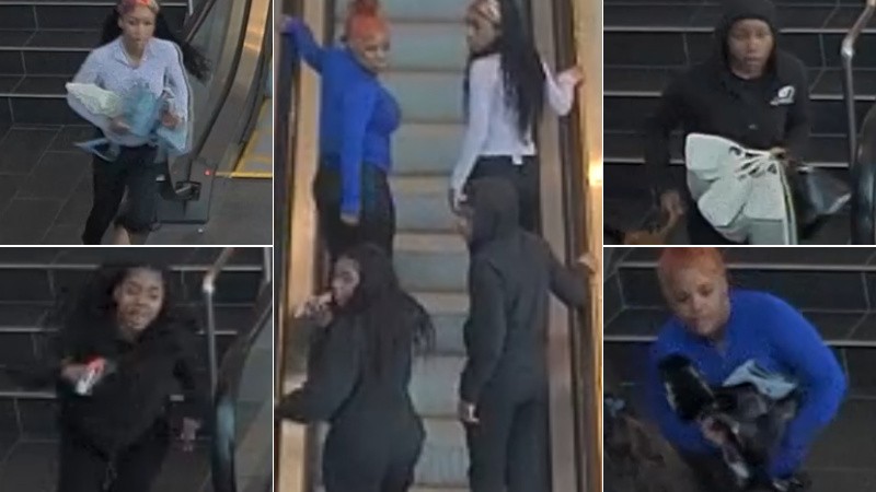 Gang of Women Overpower Security, Loot Luxury Shop In Pennsylvania Mall