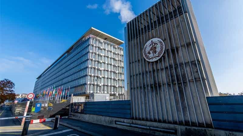 The WHO Cannot Be Saved