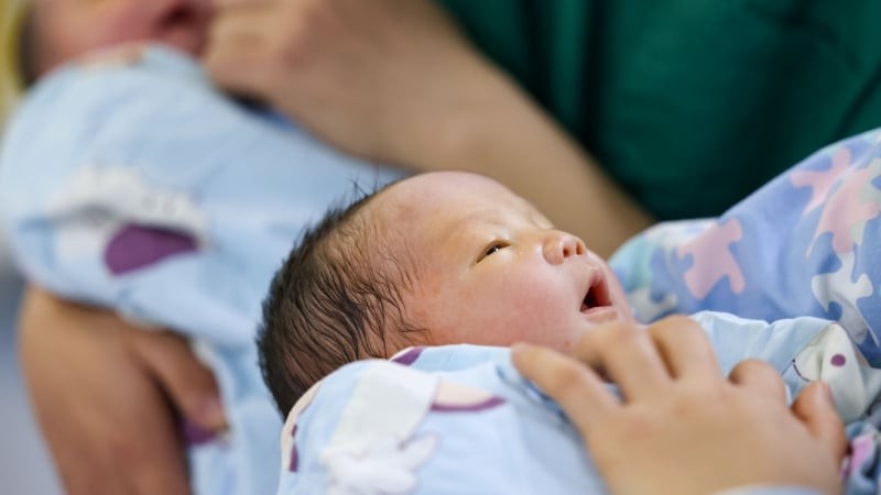 Nearly 400k Anchor Babies Born in 2024