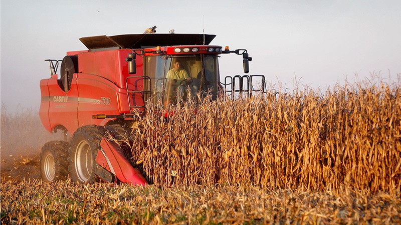 The Enemies of Food Freedom