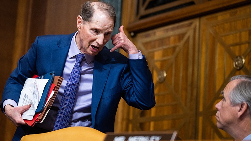 Democrat Senators Urge Platforms to Share Plans for Addressing ...