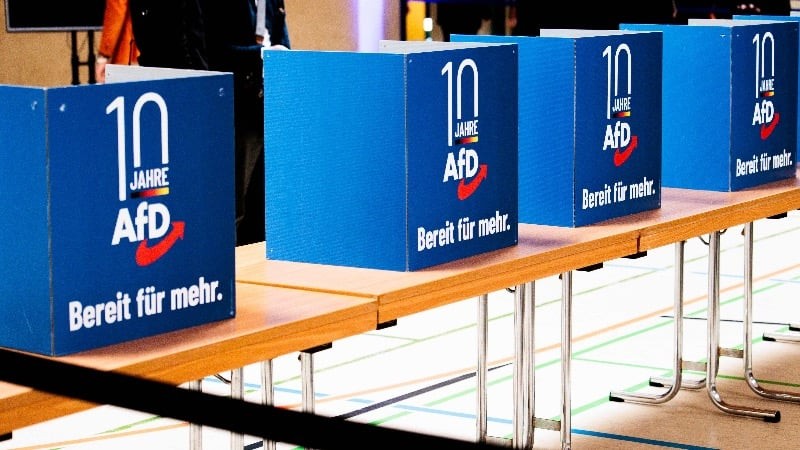 Majority of Germans Believe AfD Will Win Next Federal Election, Poll ...
